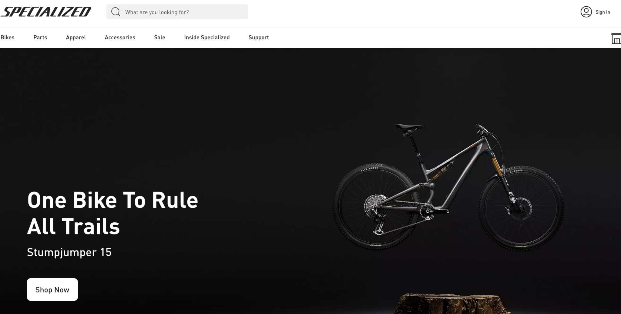 Top 10 Electric Bike Manufacturers to Watch in 2025 - SHINE SOON